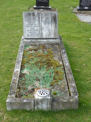 Gravestones and Graves - surnames beginning with D - F | New ...