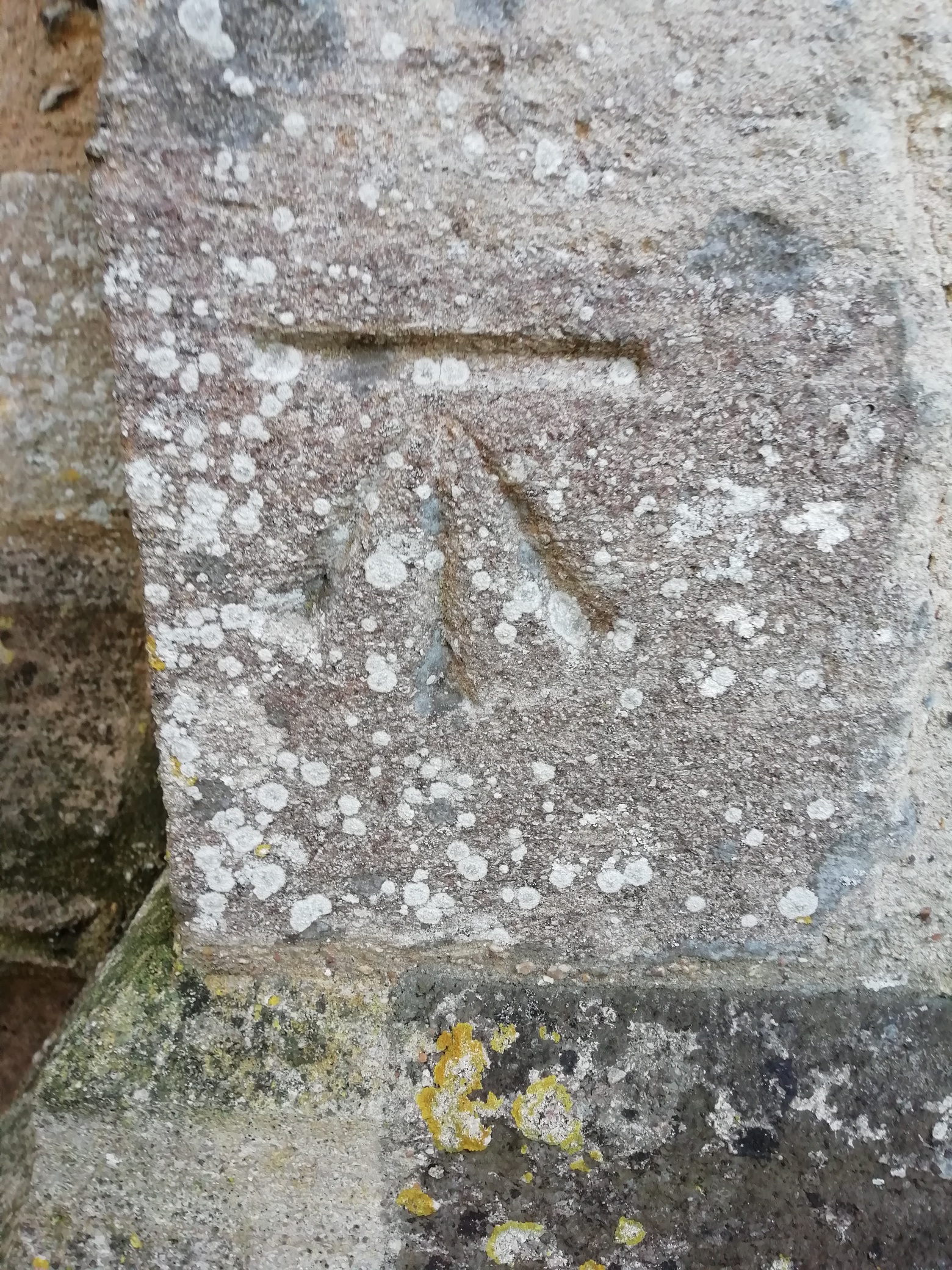 Harston's Bench Marks | New contributions, Topics | Harston History