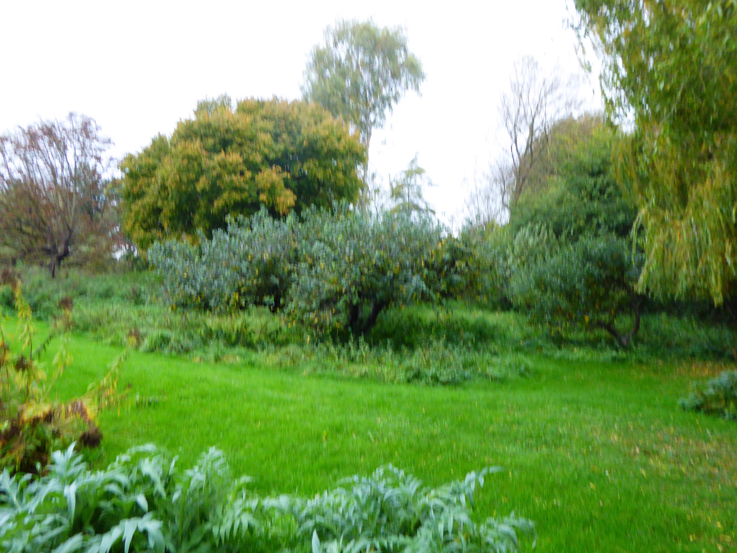 11 Royston Road, Roebourne | Royston Road | Harston History